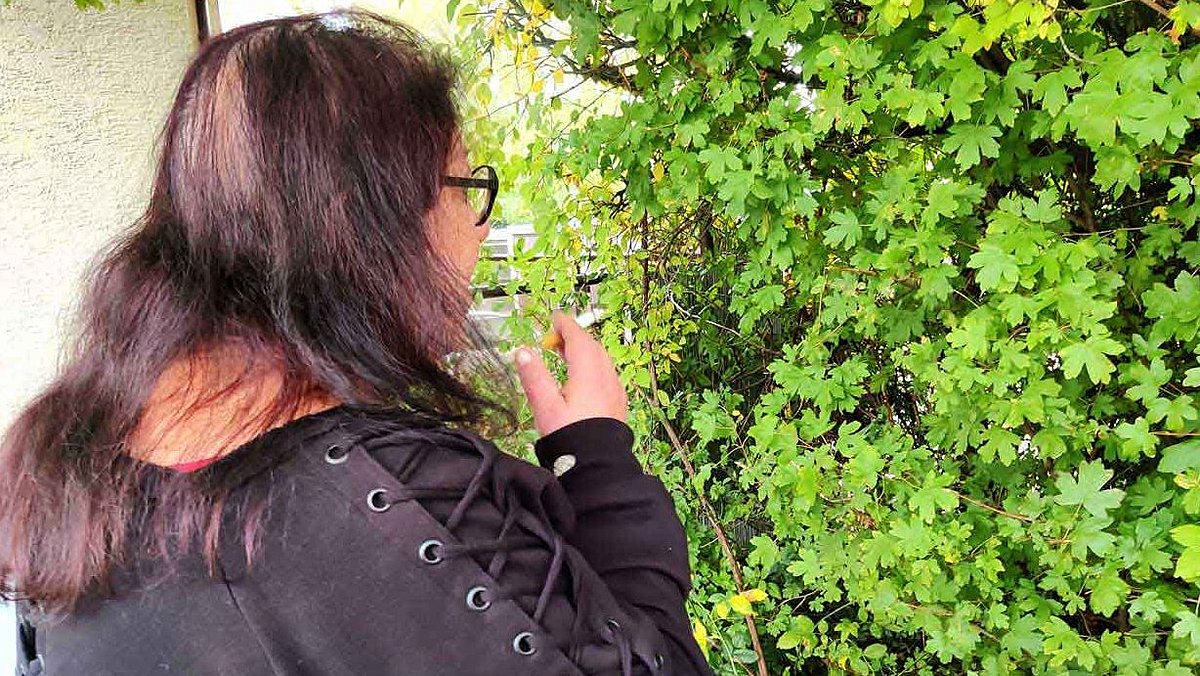 Leben mit Borderline: Erfahrungen mit der Krankheit