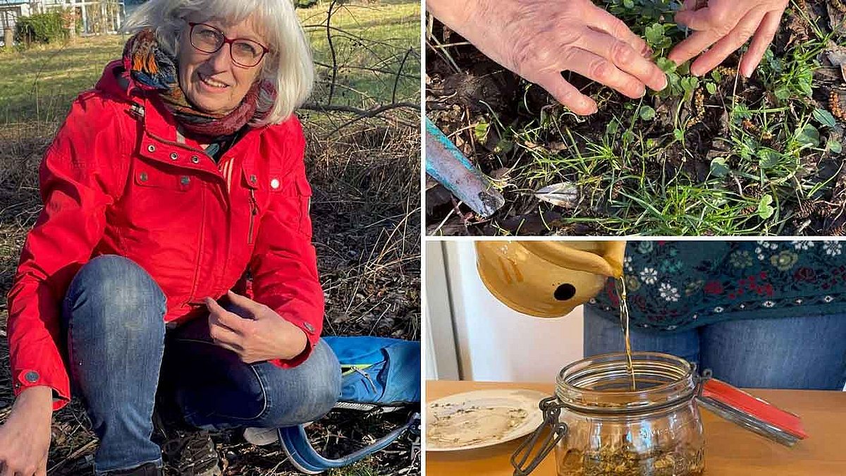 Unterwegs mit der Kräuterfrau im Taunus (mit Rezept)