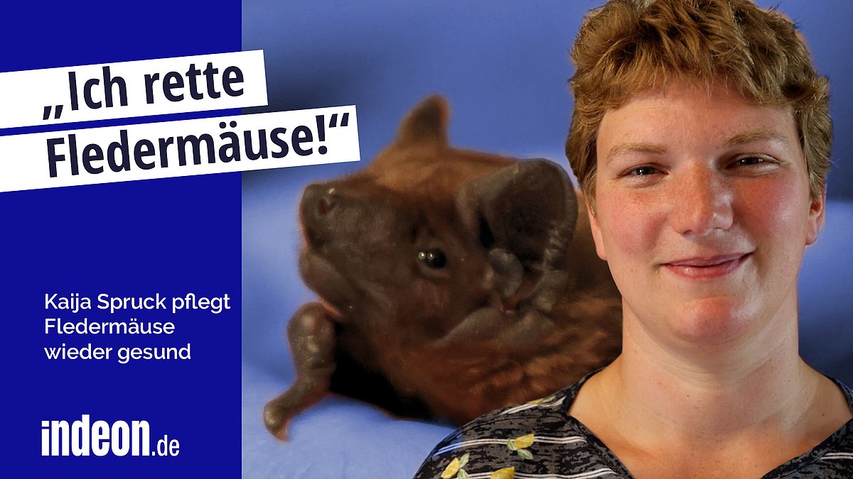 Leben in der Fledermaus-Rettungsstation
